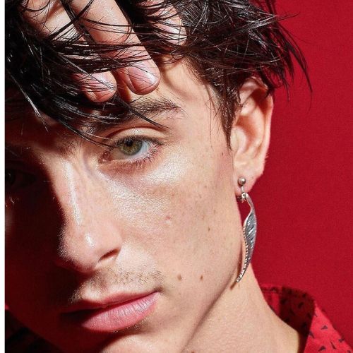 40 Famous Male Celebrities With Ear Piercings And Rings